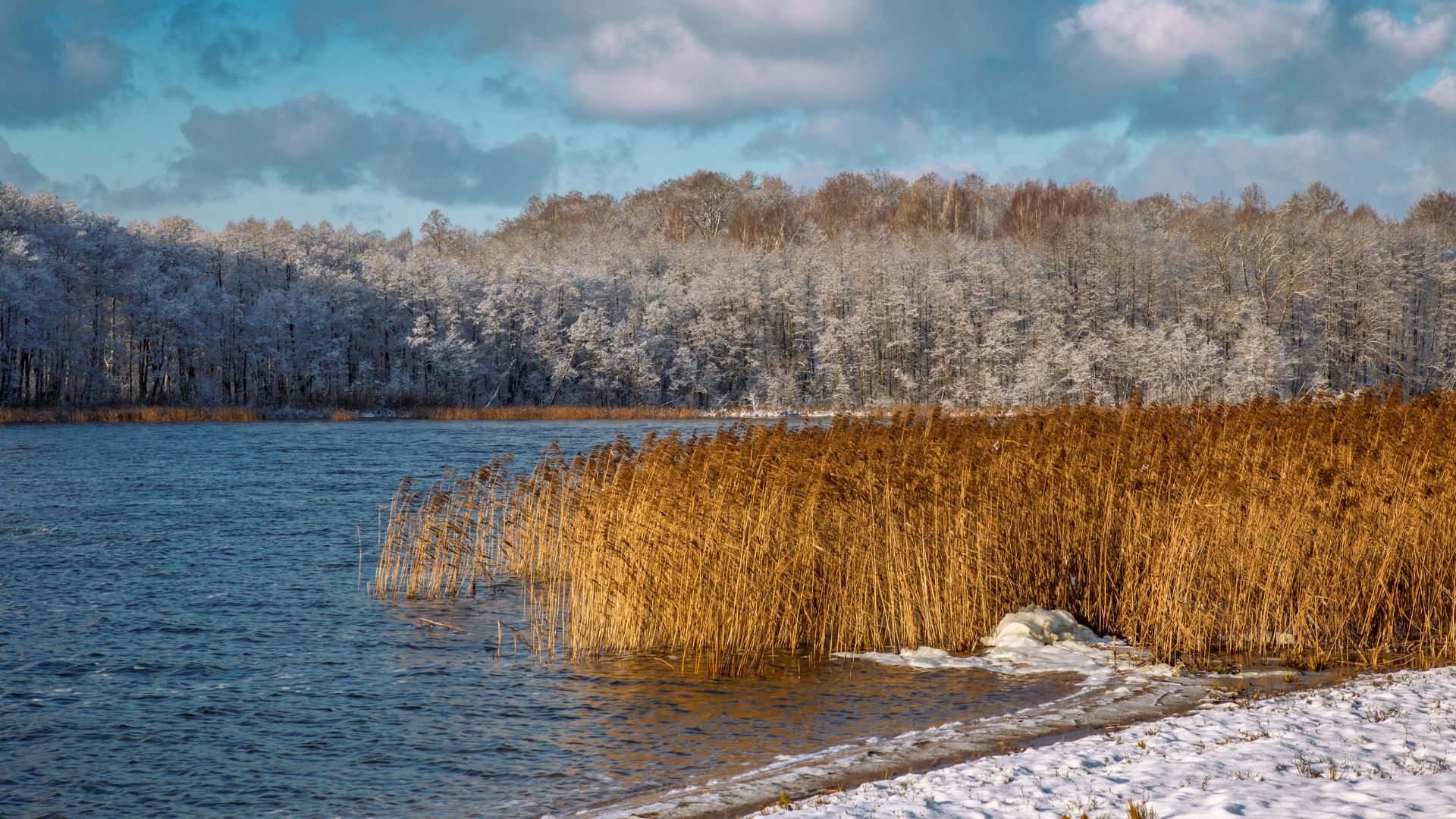 Ajurvedski kalendar decembar januar - Spice Sunshine